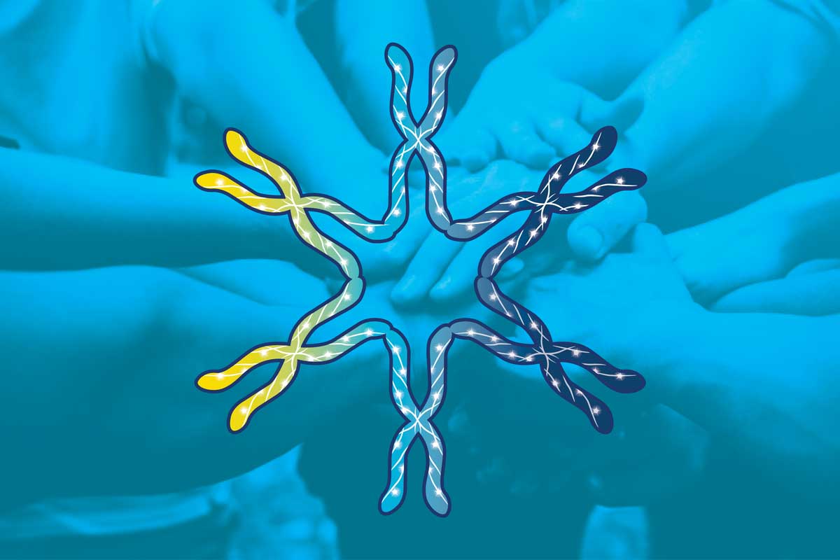 Telomere Biology Disorders: Diagnosis and Management Guidelines ...